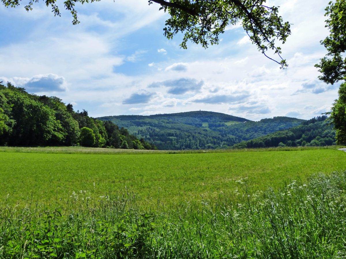 Taunus Rundwanderweg - Merzhausen - RAEMPEL