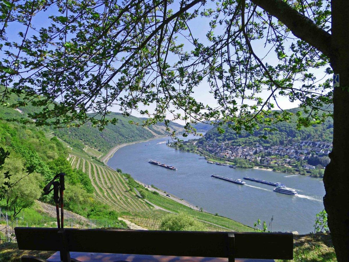 Rheinsteig Etappe 5 von Rüdesheim nach Lorch - RAEMPEL